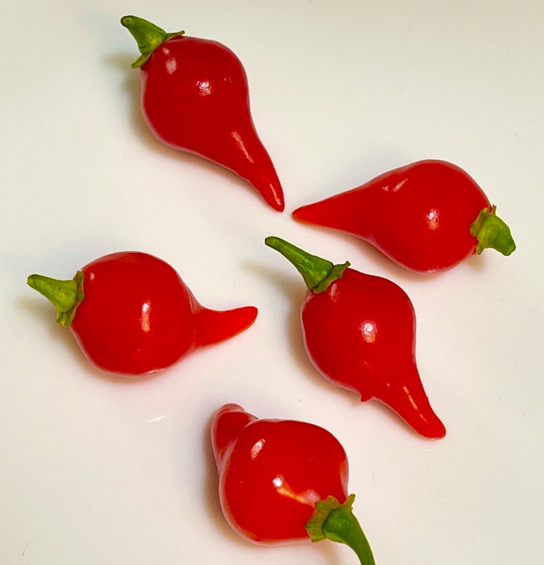 Red Biquinho Pepper Seeds: Brazil Heirloom, Non GMO (12+ Seeds) - Etsy