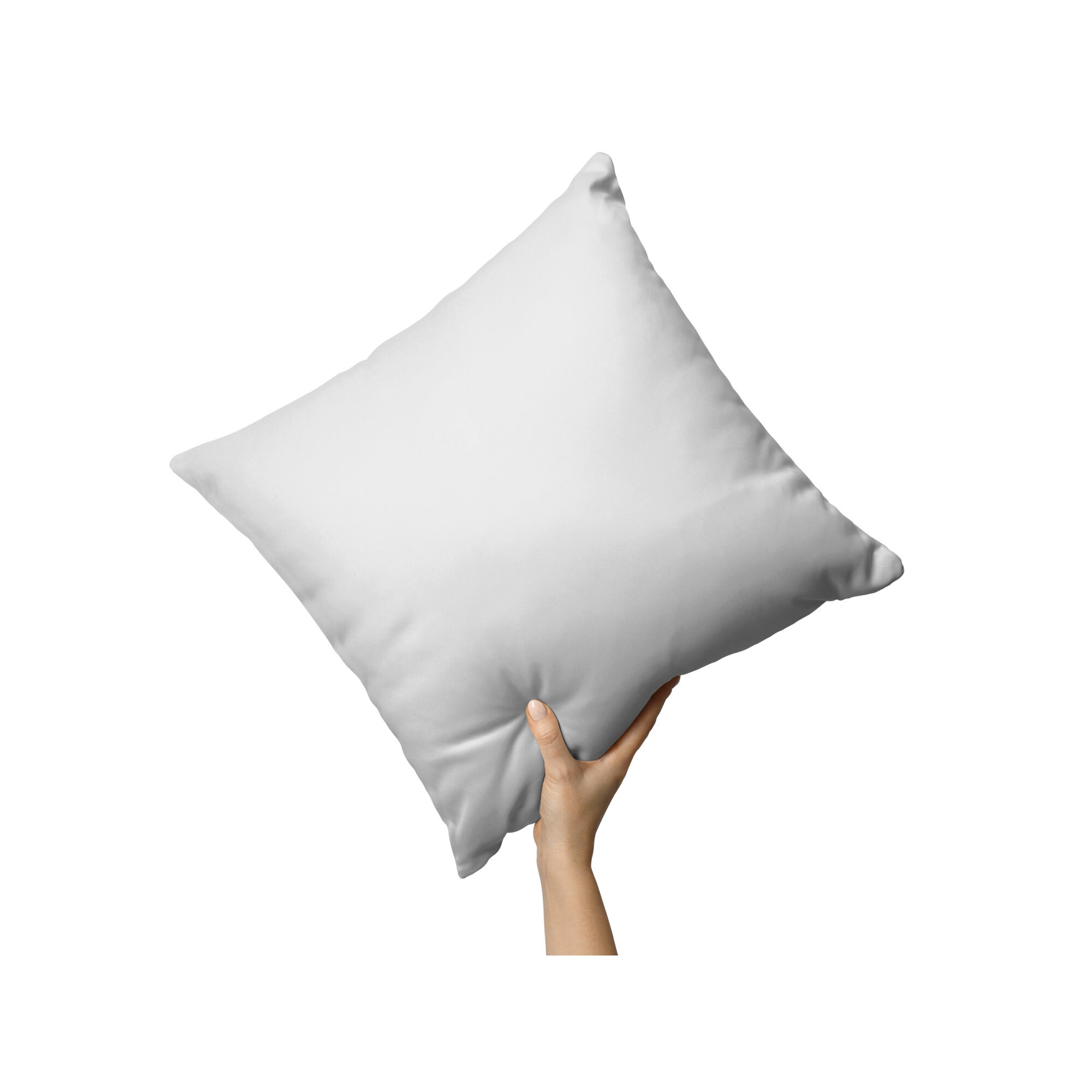 Great Blue Heron Graphic Pillow - Etsy