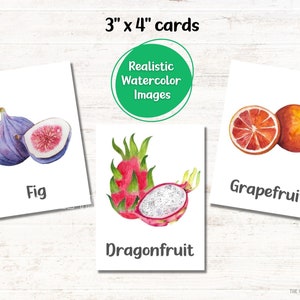 Printable Flashcards Fruits Activity Printable Flash Cards Homeschool ...