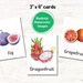 Printable Flashcards Fruits Activity Printable Flash Cards Homeschool ...