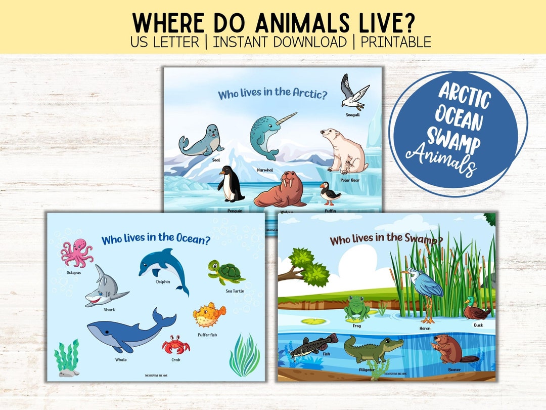 Busy Book Add on | Ocean - Arctic - Swamp | Shadow Matching Animals ...