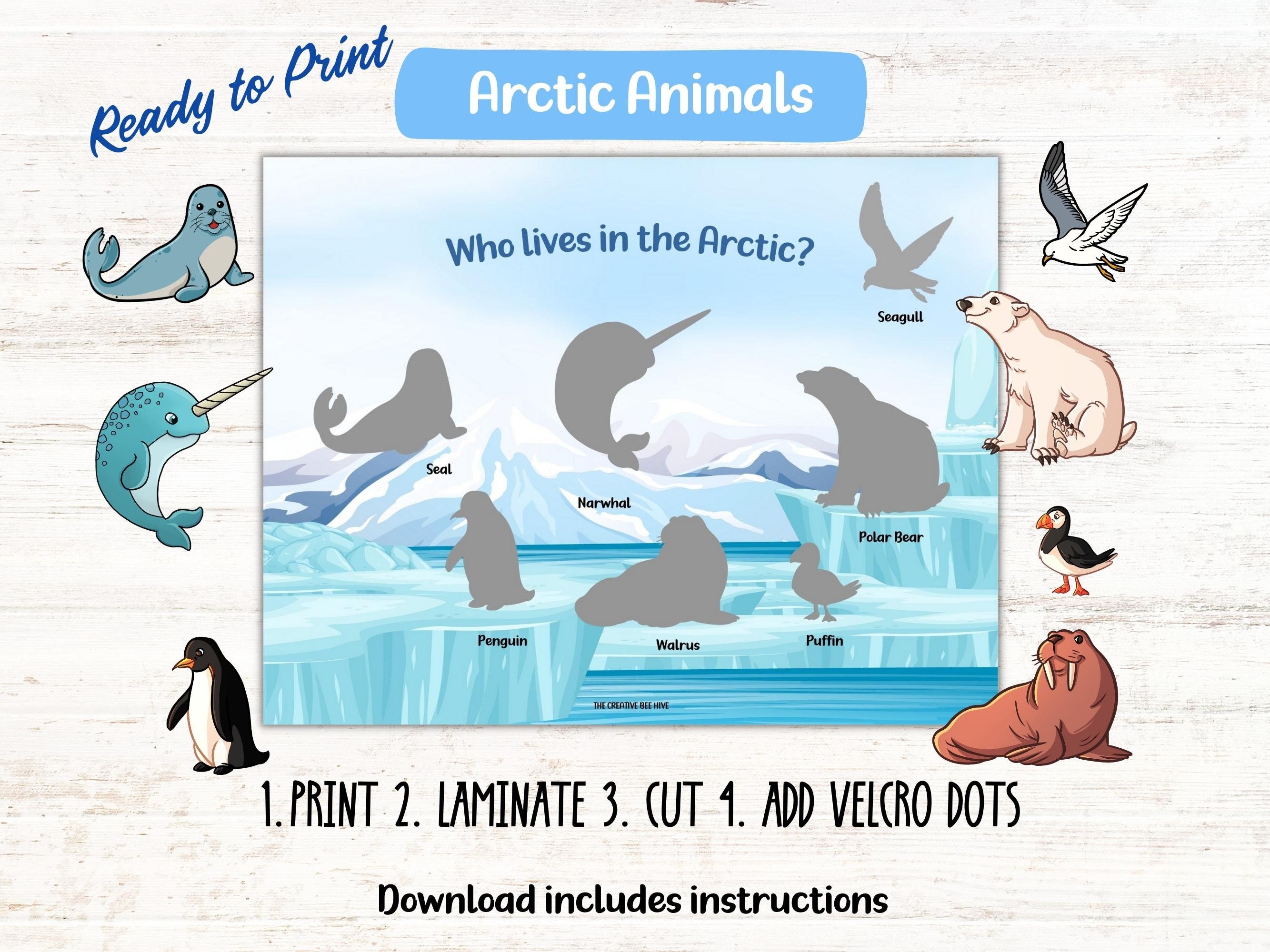 Busy Book Add on | Ocean - Arctic - Swamp | Shadow Matching Animals ...