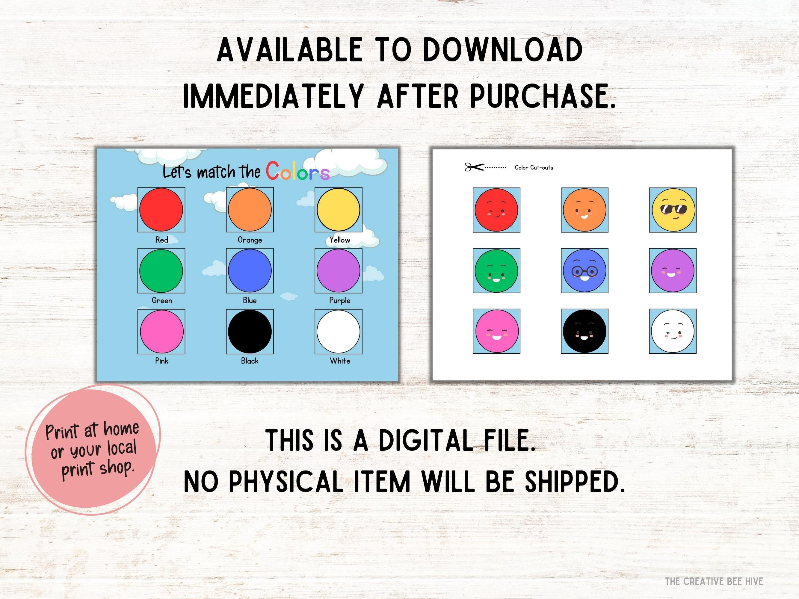 Color Matching | Printable Activity | Busy Book Add-on | Preschool ...