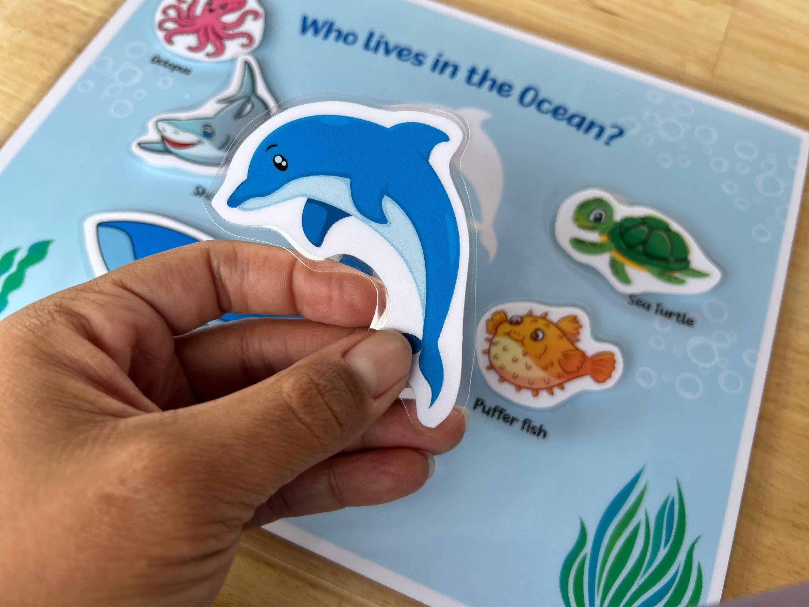 Busy Book Add on | Ocean - Arctic - Swamp | Shadow Matching Animals ...