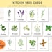 Printable Flash Cards Kids Activity Printable Homeschool Printable Herb ...