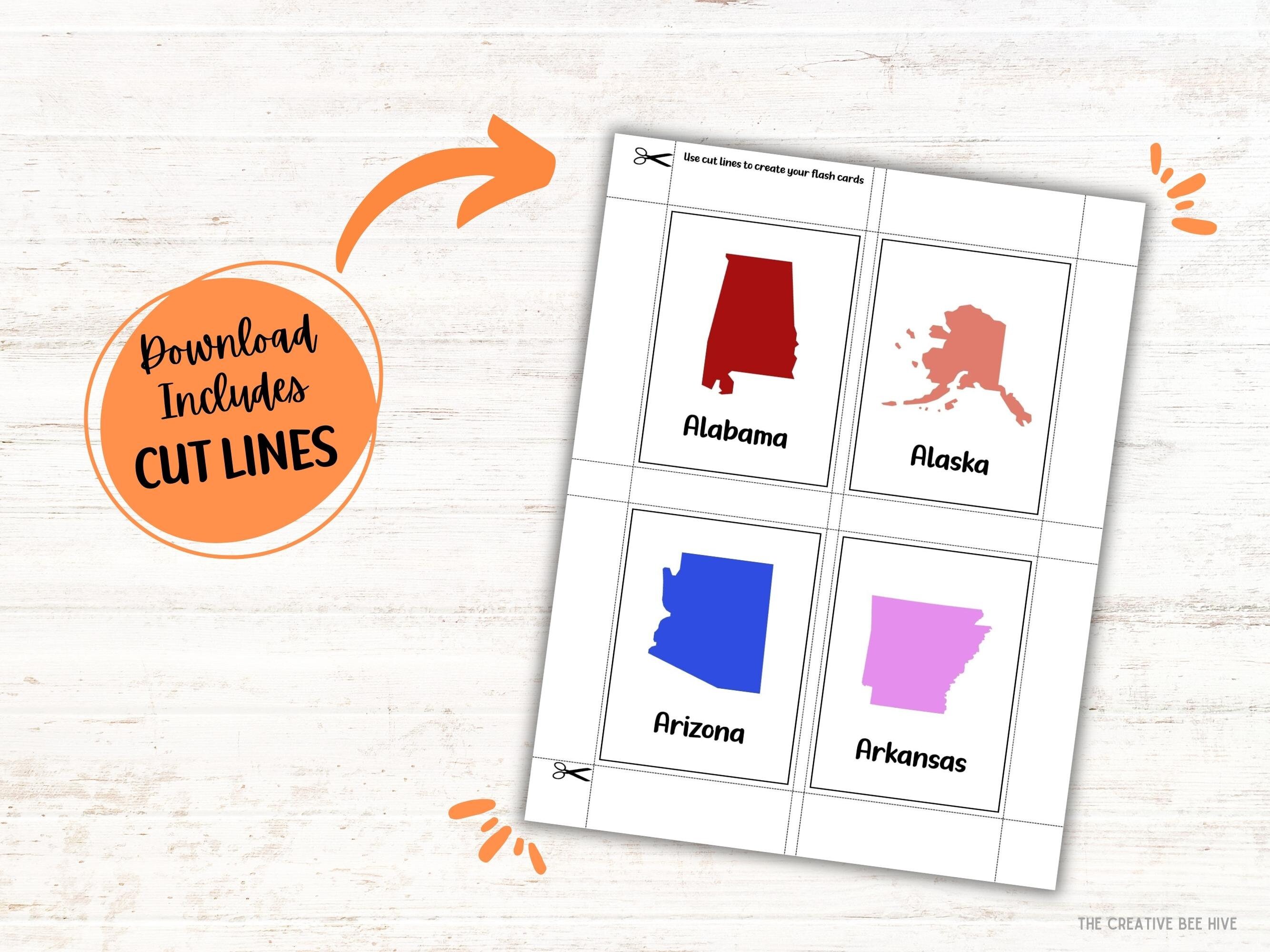 Printable Flashcards | US State | Activity Printable | Flash Card ...