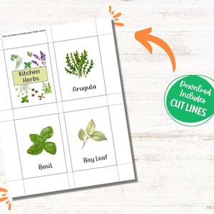 Printable Flash Cards | Kids Activity Printable | Homeschool Printable ...
