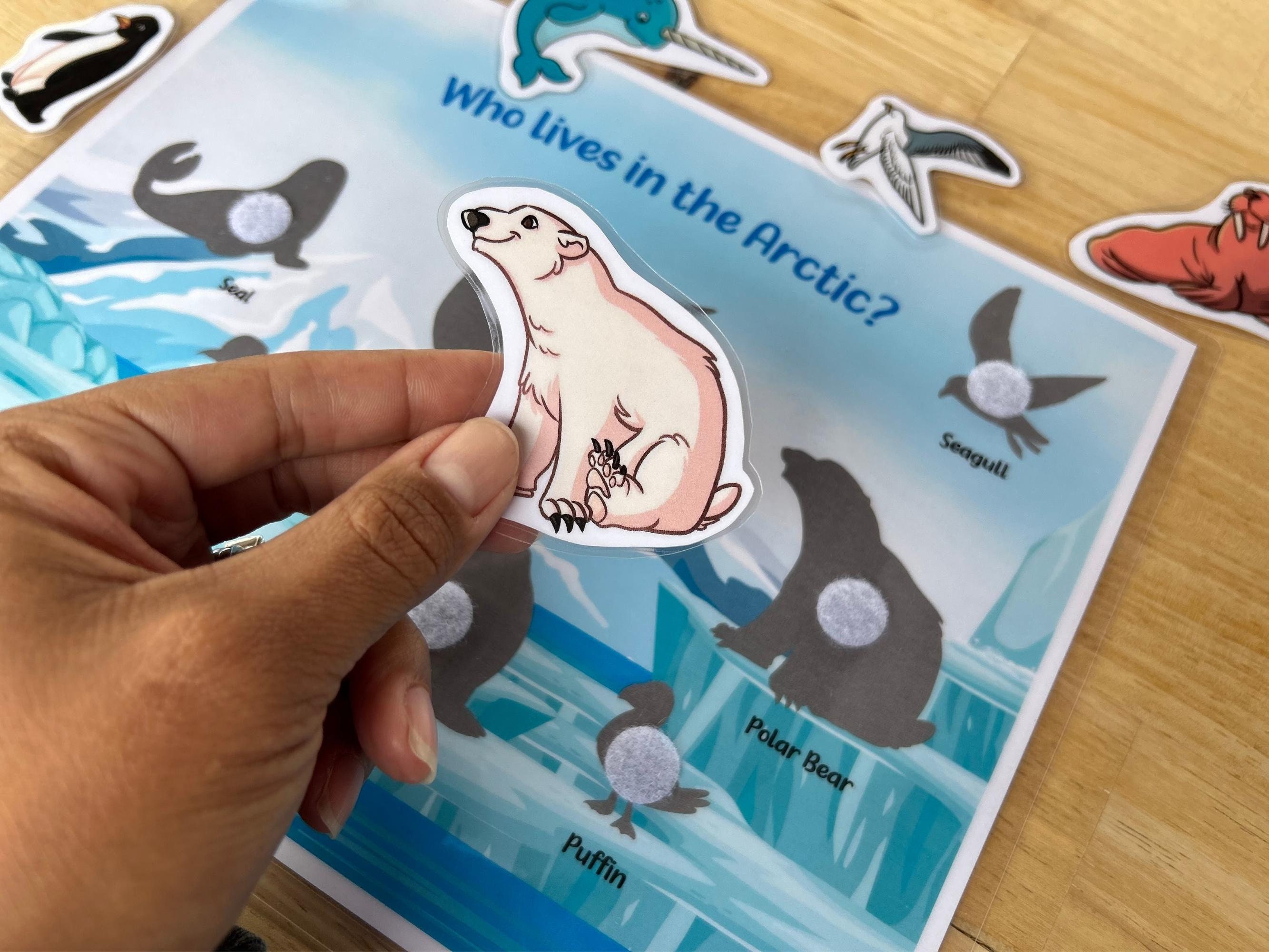 Busy Book Add on Ocean Arctic Swamp Shadow Matching Animals Toddler ...