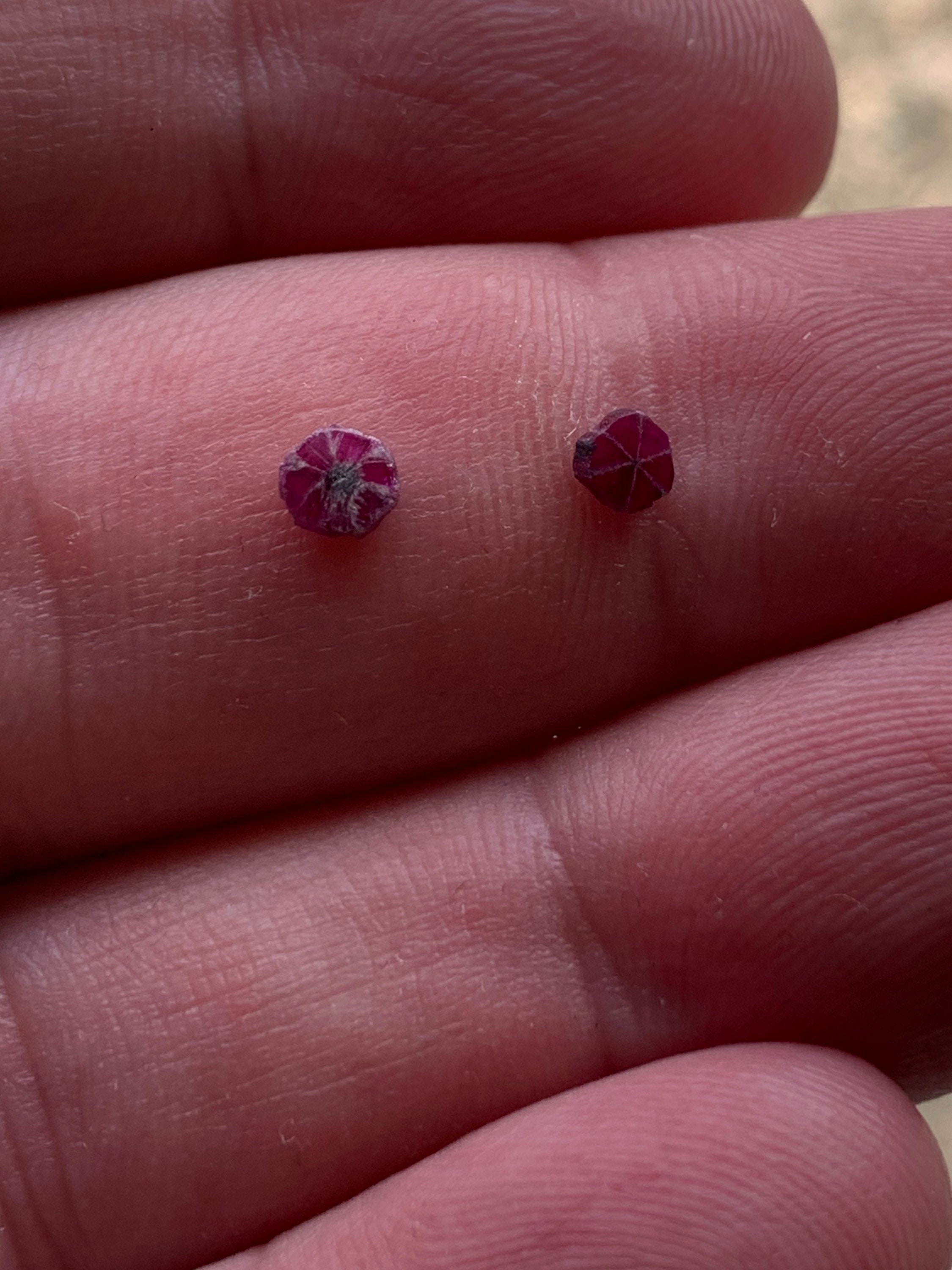 Ruby Trapiche Mogok Myanmar .51ct Total 2pc - Etsy