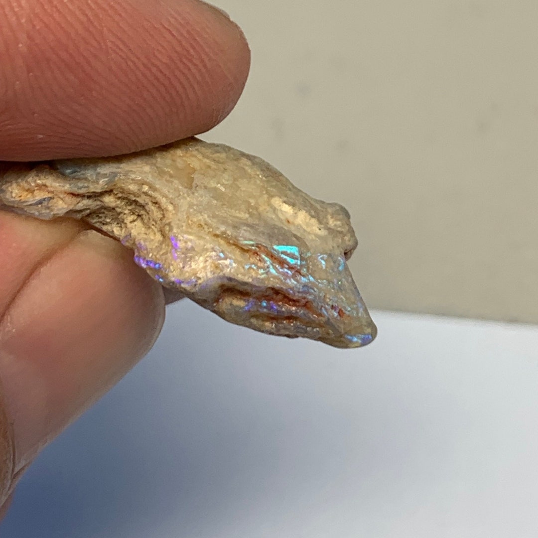Lightning Ridge Fossil Opal, 12.91 Carats, Blue and Green Play of Color ...