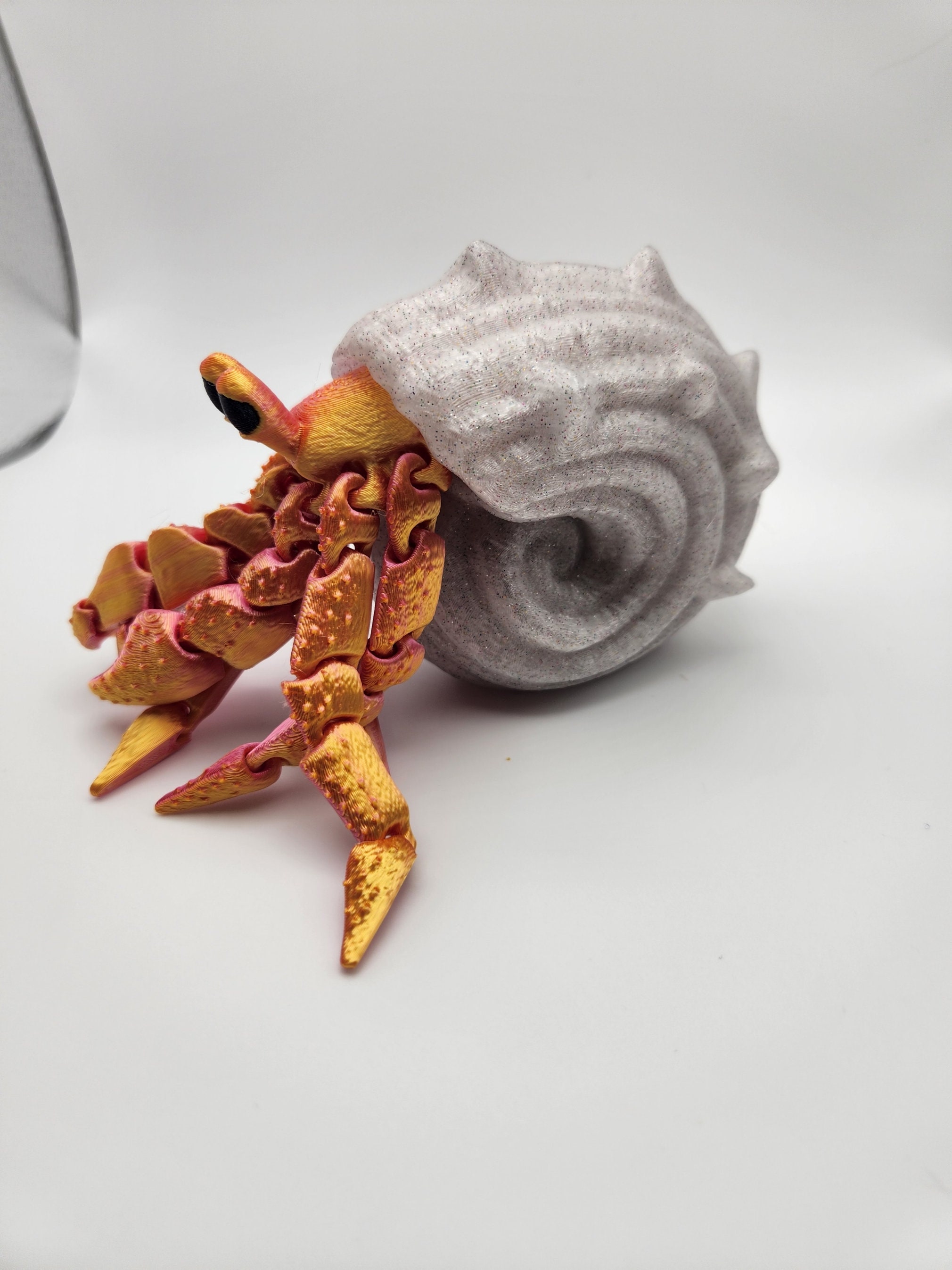 Hermes the Hermit Crab - Etsy