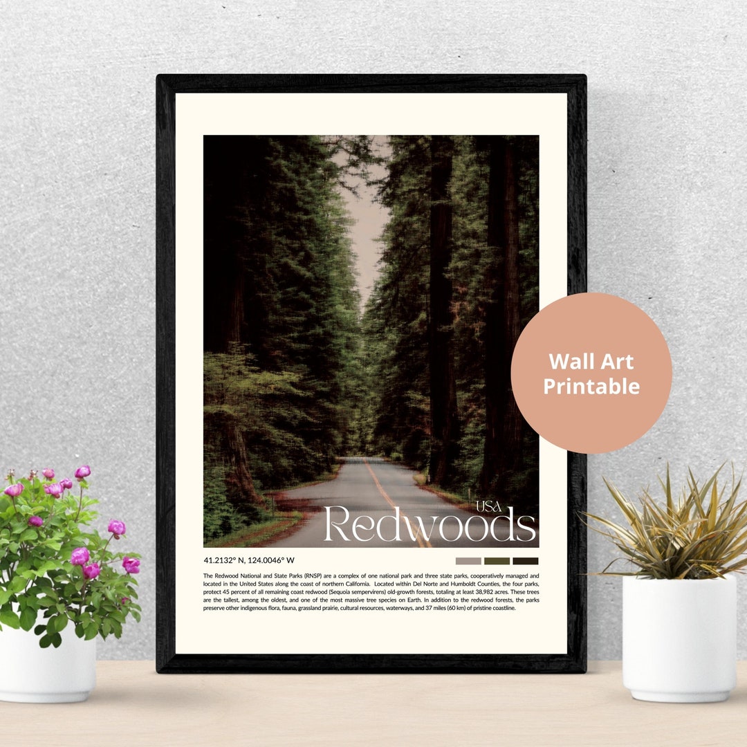 Redwoods Print Redwoods Wall Art Redwoods Wall Art Redwoods Poster ...