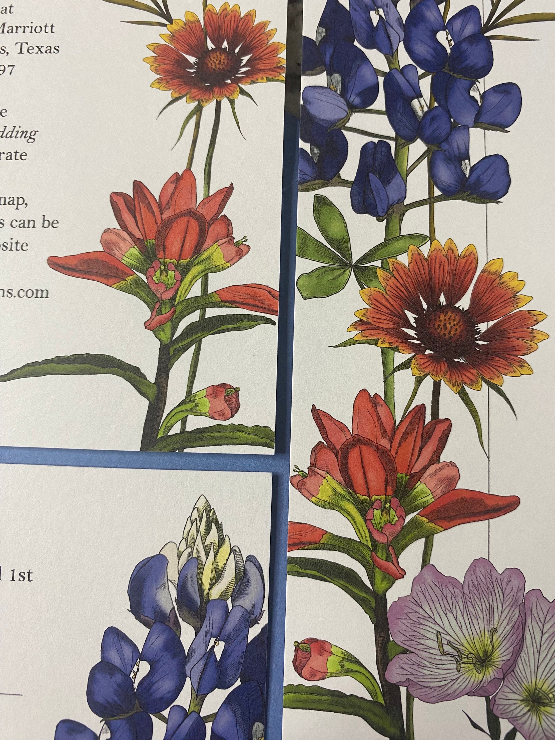 Texas Wildflower Wedding Invitation Suite Templates 3 Piece Wedding Set ...