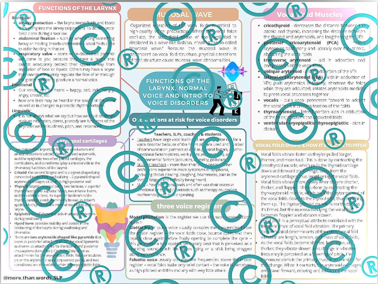 Concept Map: Functions of the Larynx, Normal Voice and Intro to Voice ...