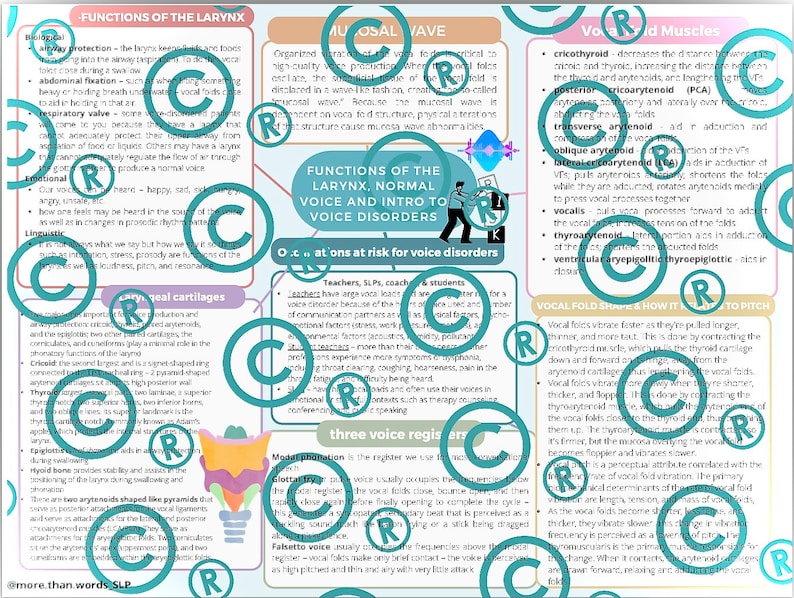 Concept Map: Functions of the Larynx, Normal Voice and Intro to Voice ...