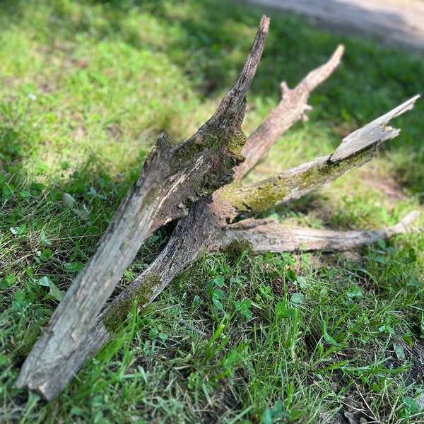 Weathered Cedar - Etsy