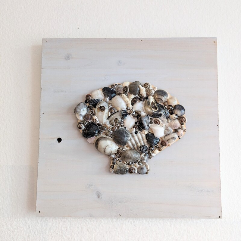 Shell Wall Art - Etsy