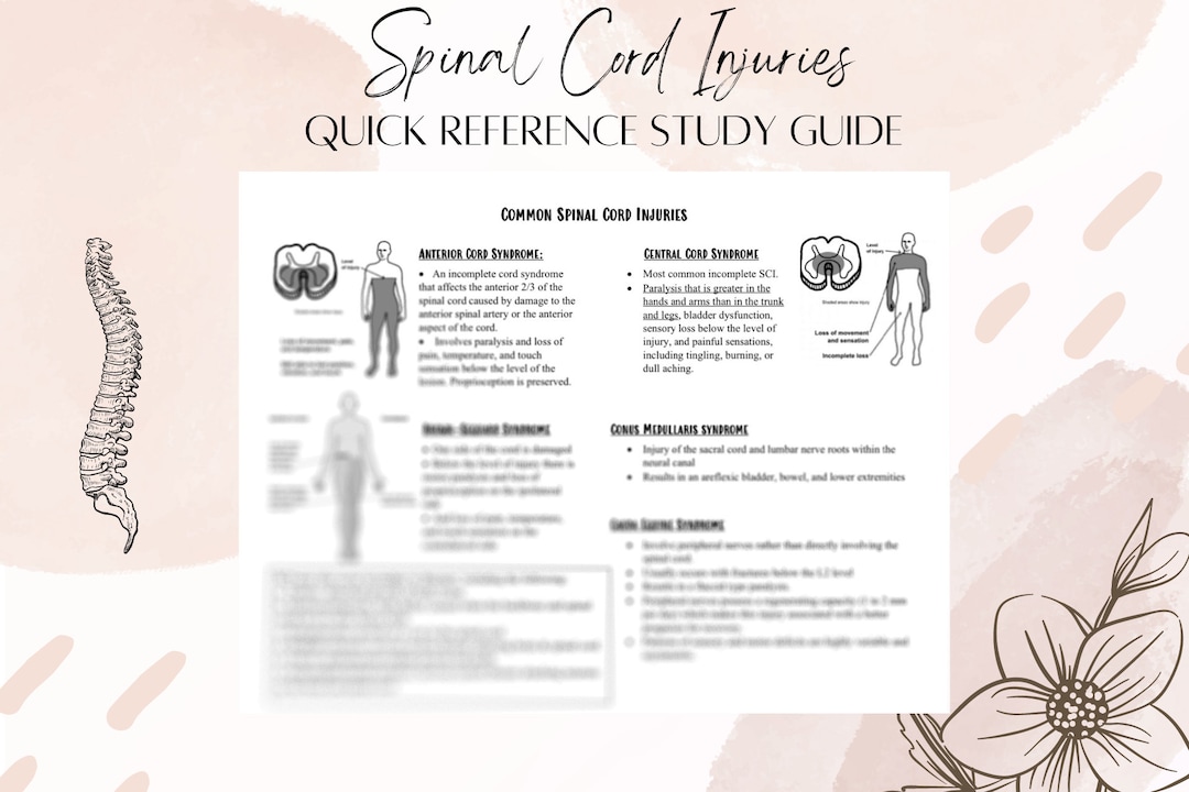 Common Spinal Cord Injuries Quick Reference Sheet - Etsy