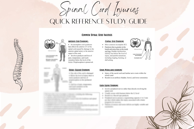 Common Spinal Cord Injuries Quick Reference Sheet - Etsy