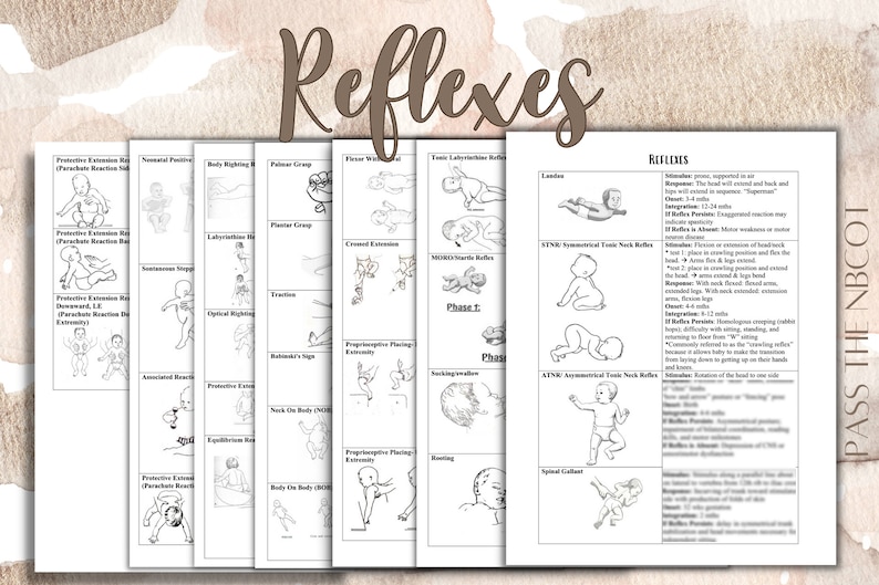 Developmental Reflexes for Occupational Therapists - Etsy