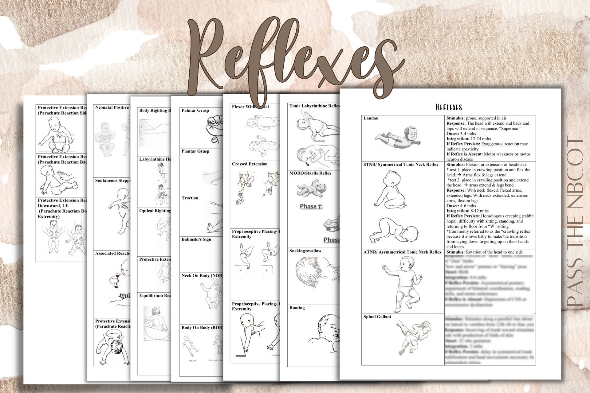 Developmental Reflexes for Occupational Therapists - Etsy