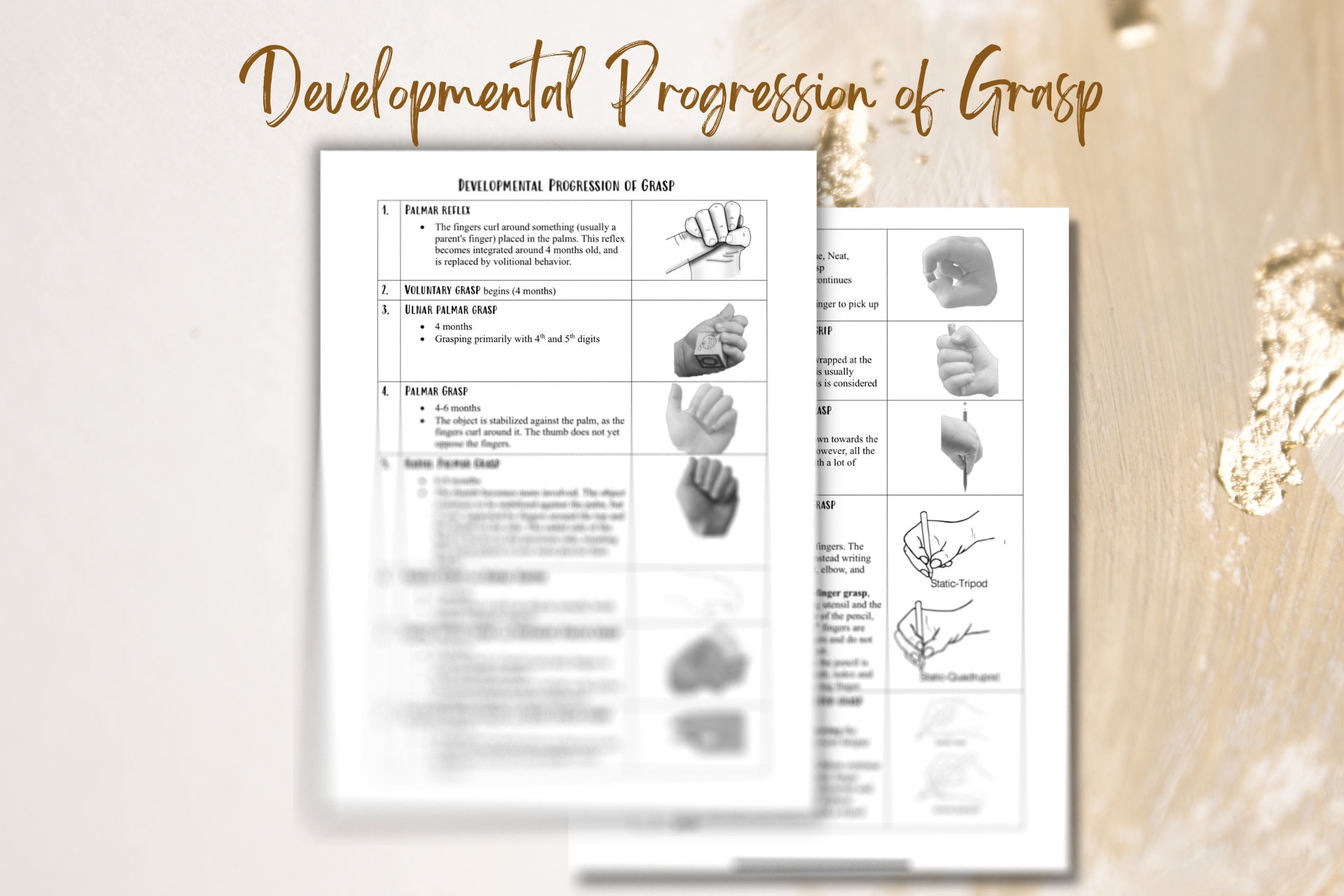 Developmental Progression of Grasp - Etsy