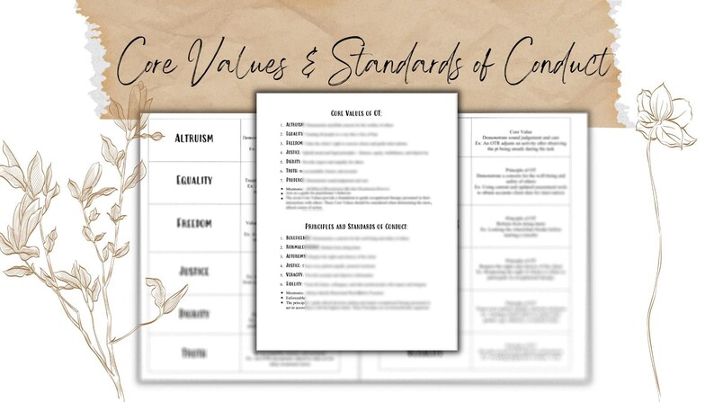 Core Values and Principles/ Standards of Conduct for Occupational ...