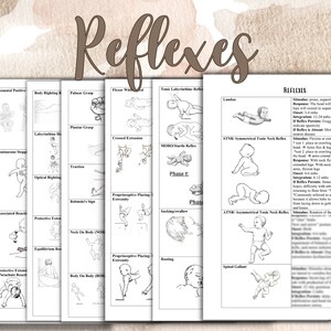 Entire Inventory! NBCOT Bundle 1 - Etsy