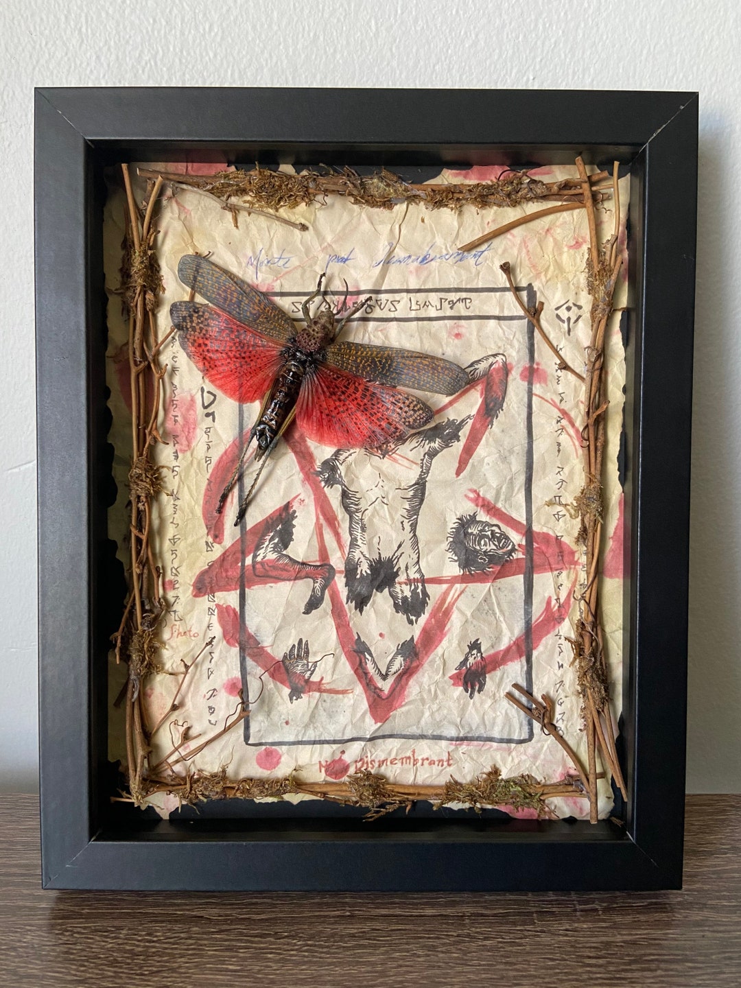 Necronomicon evil Dead Shadowbox Locust Display - Etsy