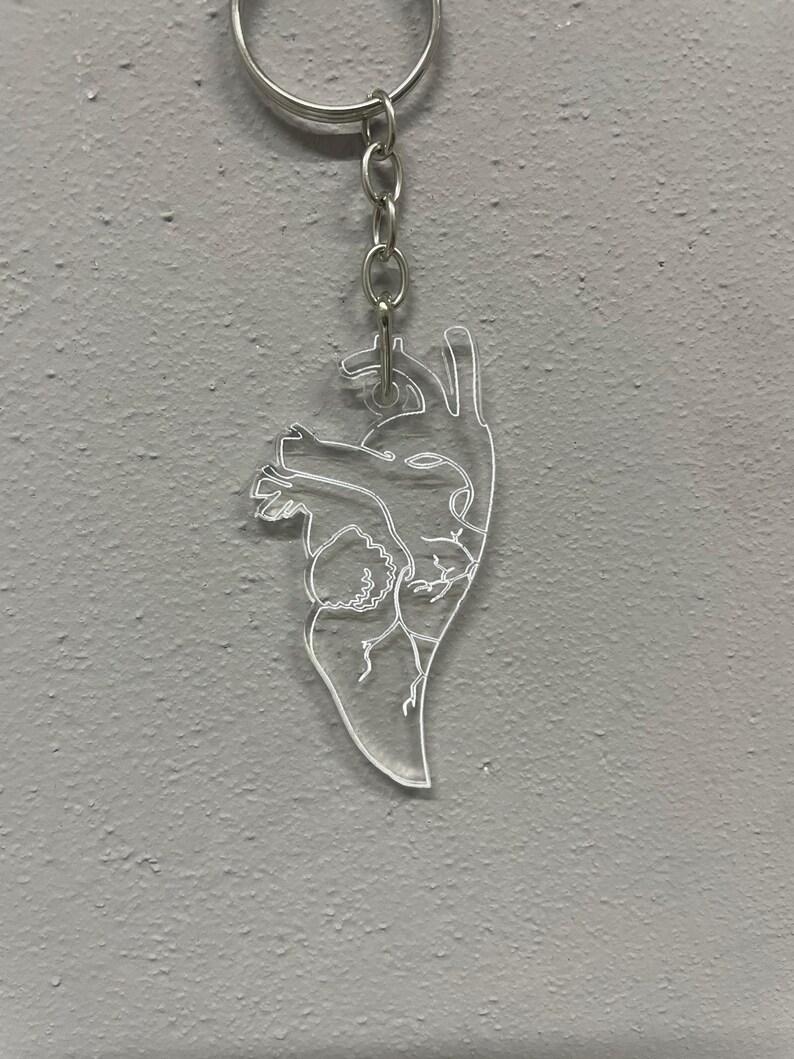 Plexiglass Anatomical Heart Design Couple Keychain - Etsy