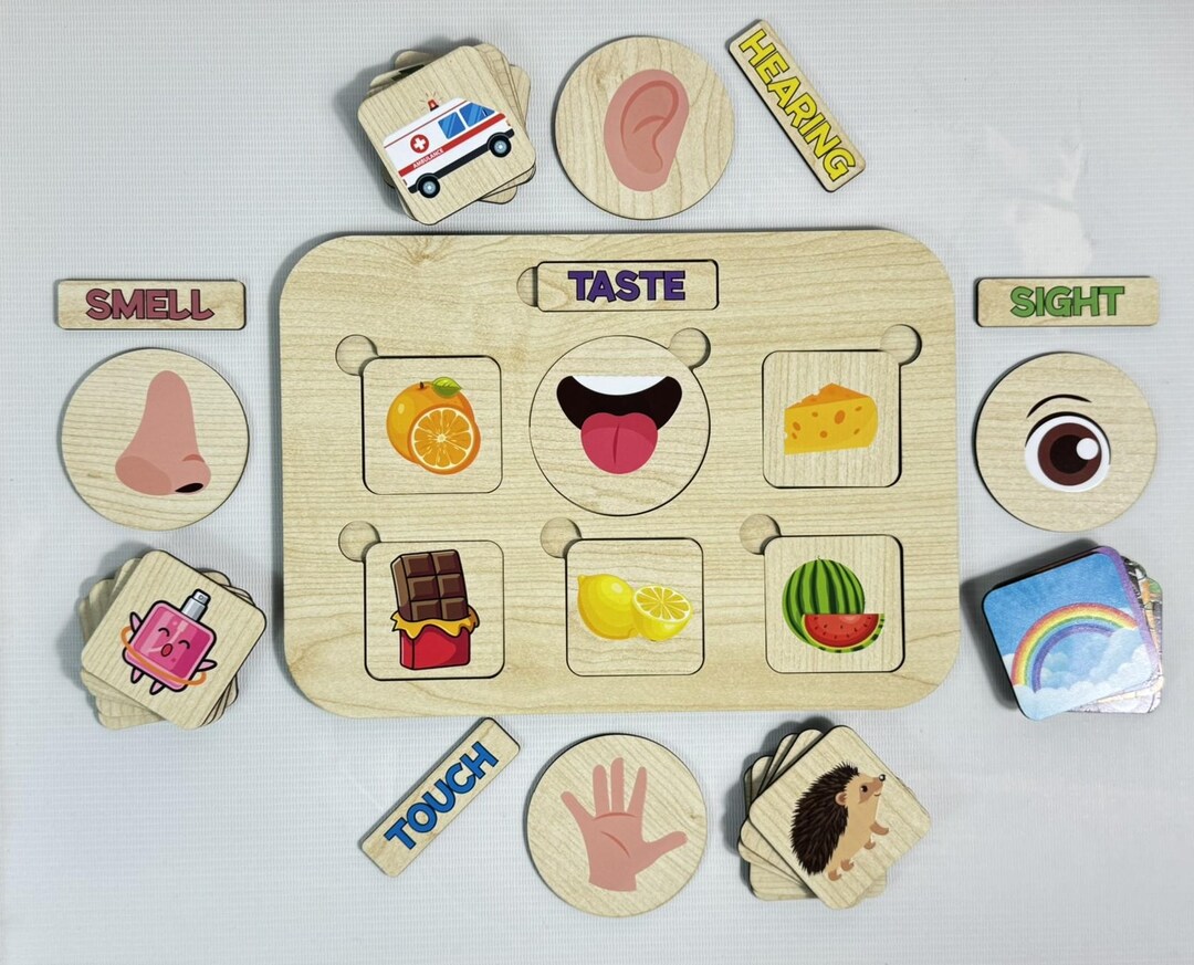 Montessori Wooden Sensory Matching Game – Explore the 5 Senses With Fun ...