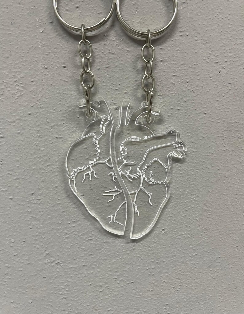 Plexiglass Anatomical Heart Design Couple Keychain - Etsy