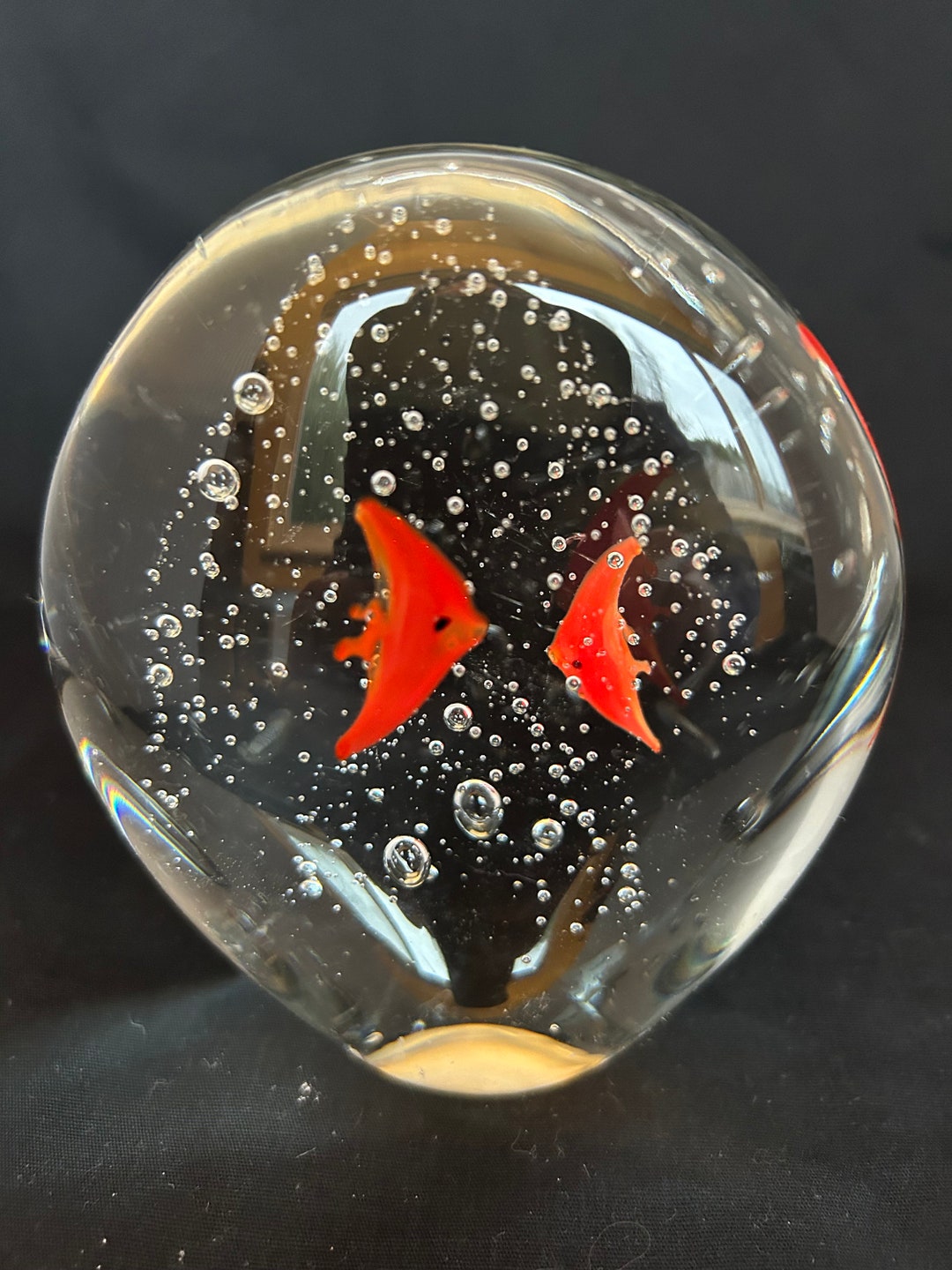 Glass Paperweight With Fish - Etsy Canada