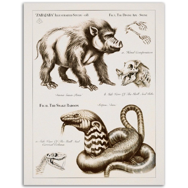 Glass Animals Toes Poster - Etsy