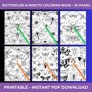 Butterfly Coloring Book, Butterfly Coloring Pages, Insect Coloring Book ...