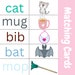 Picture Matching Flash Cards Matching Word to Picture CVC Picture Words ...