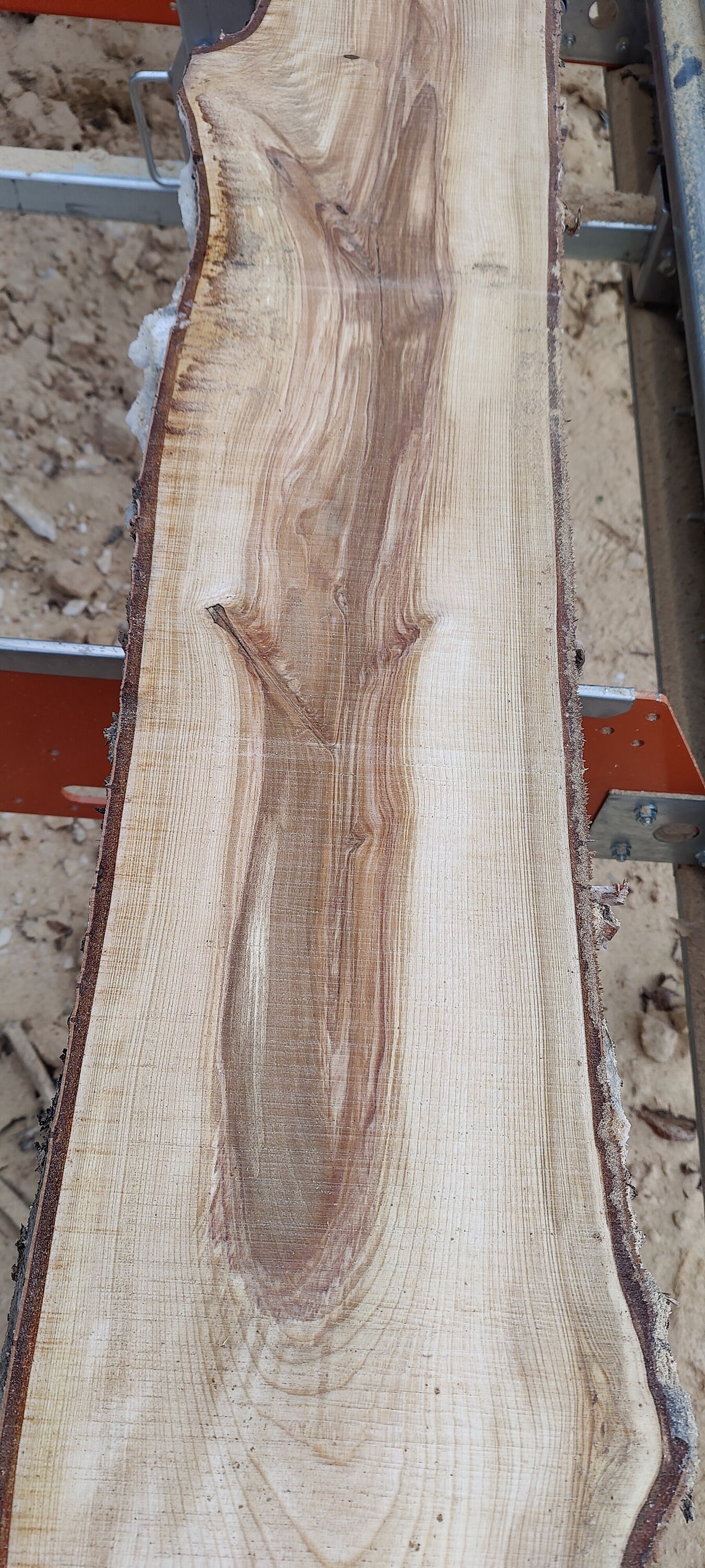 Live Edge Slabs (BIRCH) - COMING SOON - Etsy