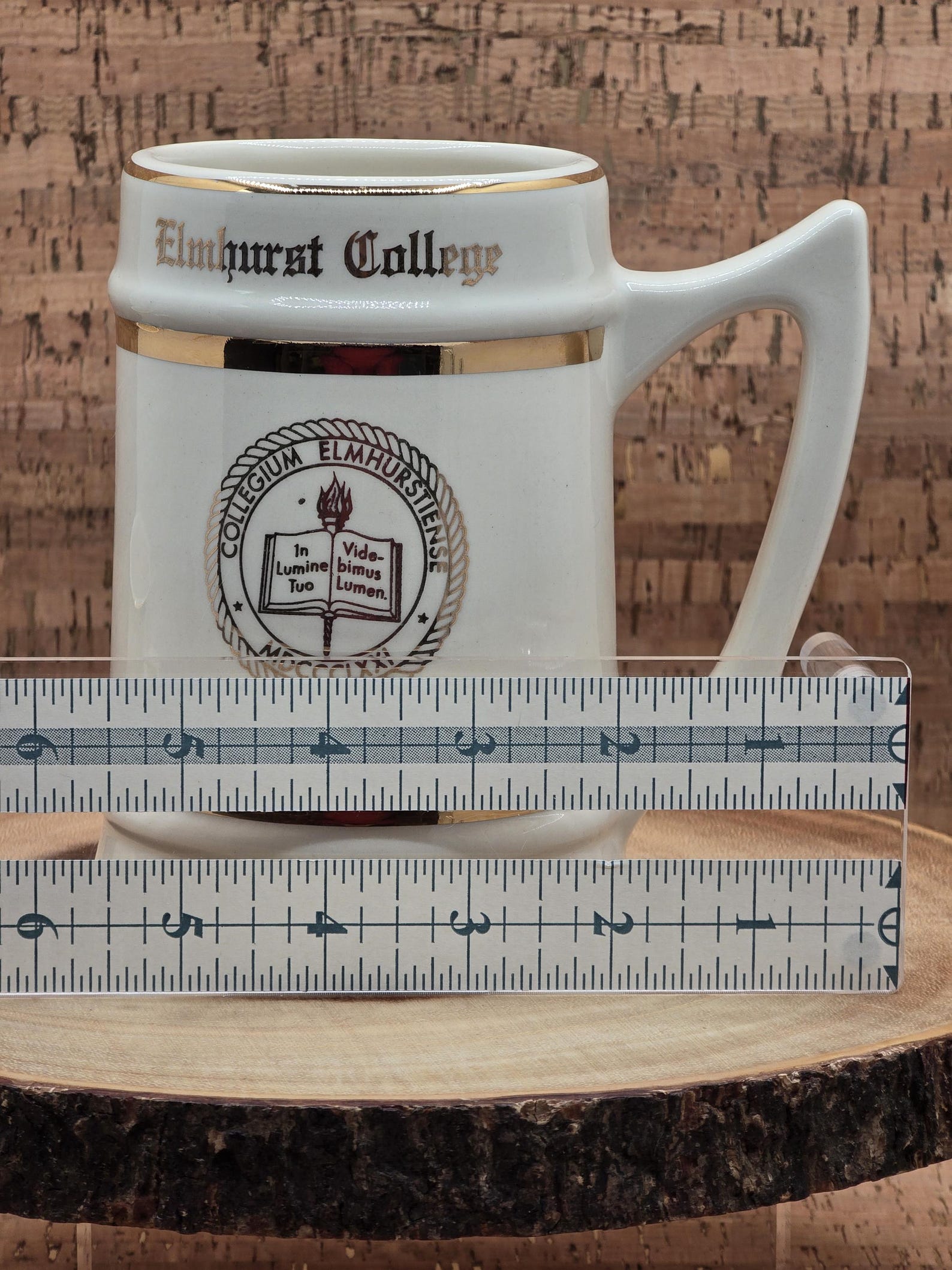 Vintage Elmhurst College Stein 1960s Ceramic Mug Illinois University ...