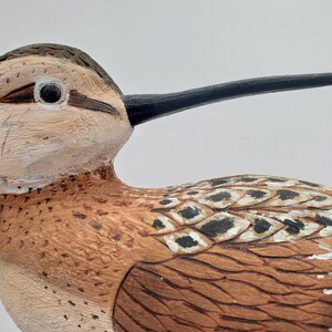 Vintage Hand-carved Shorebird Decoy: Short-billed Dowitcher, Signed RBB ...