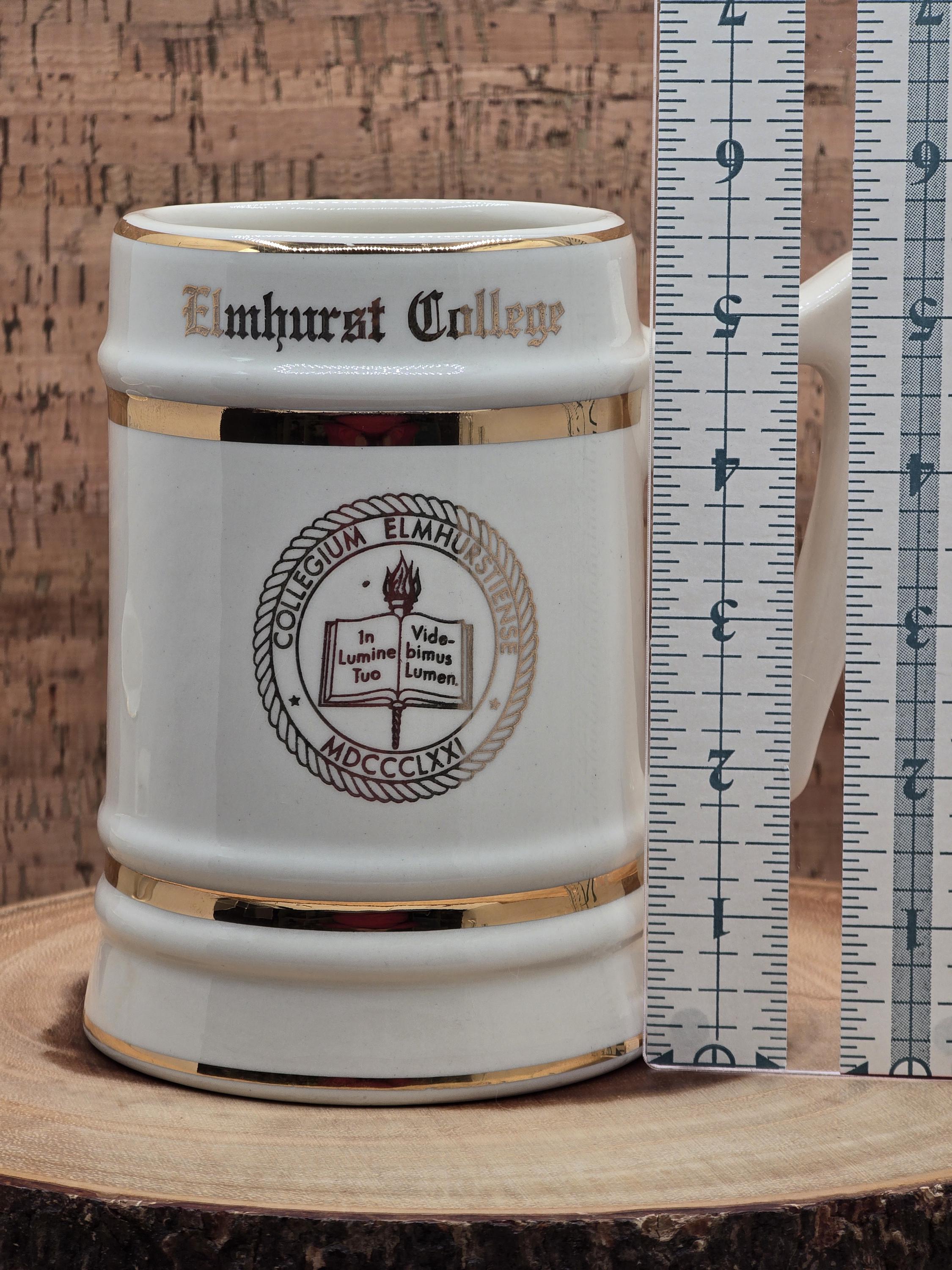 Vintage Elmhurst College Stein 1960s Ceramic Mug Illinois University ...