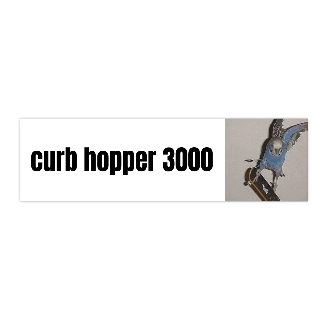 Curb Hopper 3000 Bird on Skateboard Meme Bumper Sticker - Etsy