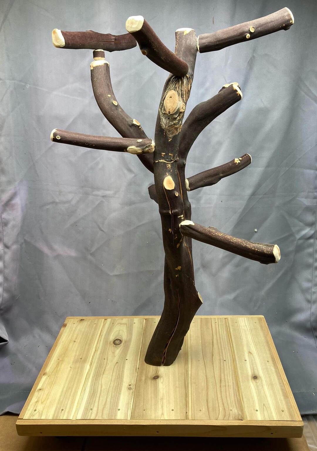 3FT Parrot African Grey Cockatoo MANZANITA Bird Stand Play Stand Bird ...