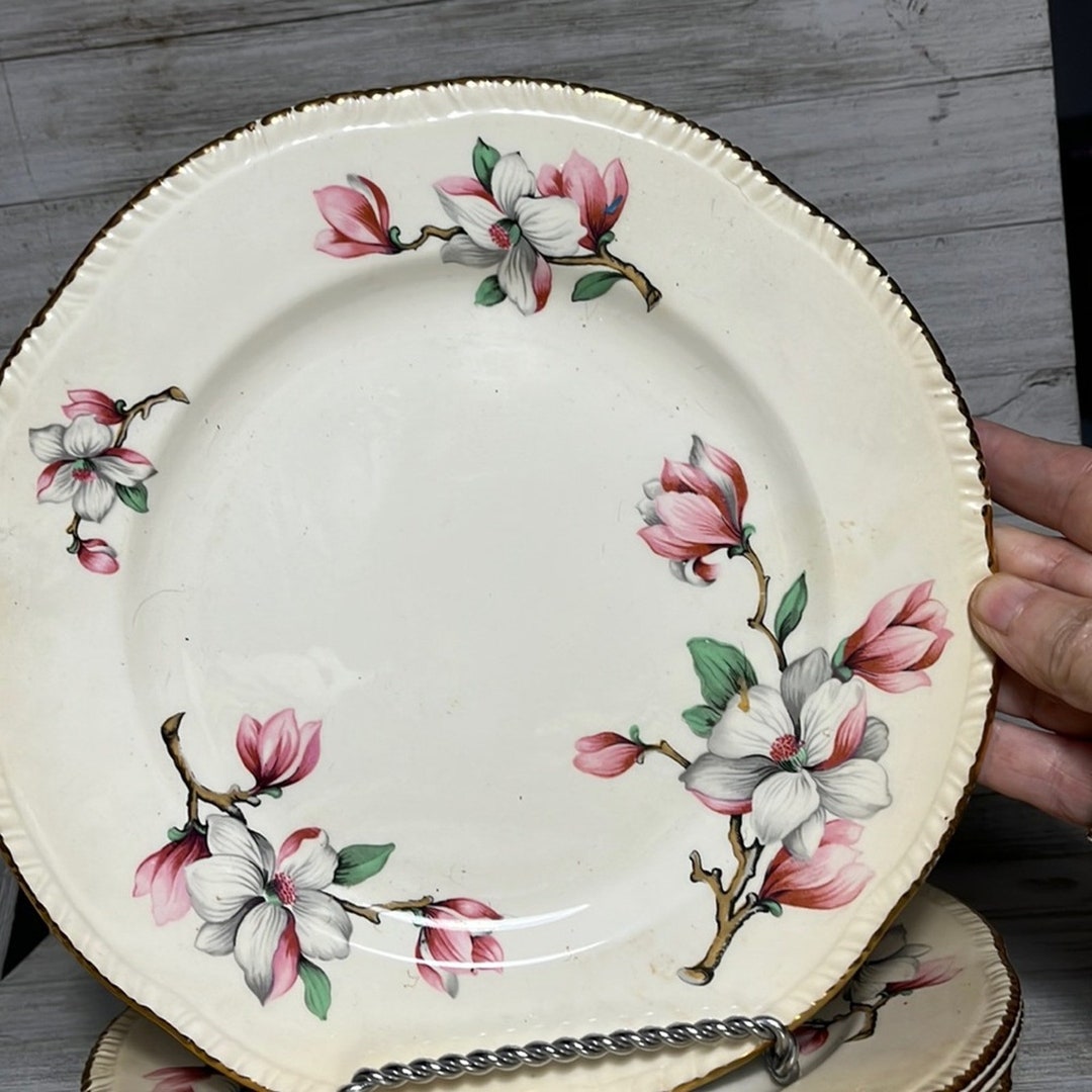 4 Homer Laughlin Dinner Plates Plate in the Liberty Dogwood Pattern. - Etsy