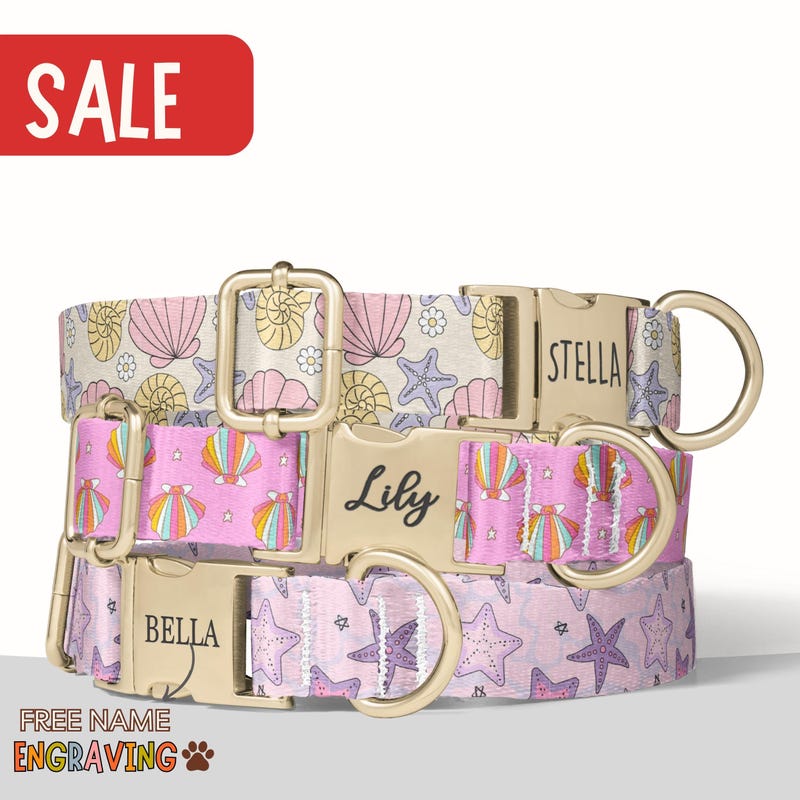 Shell Sea Dog Collar - Etsy