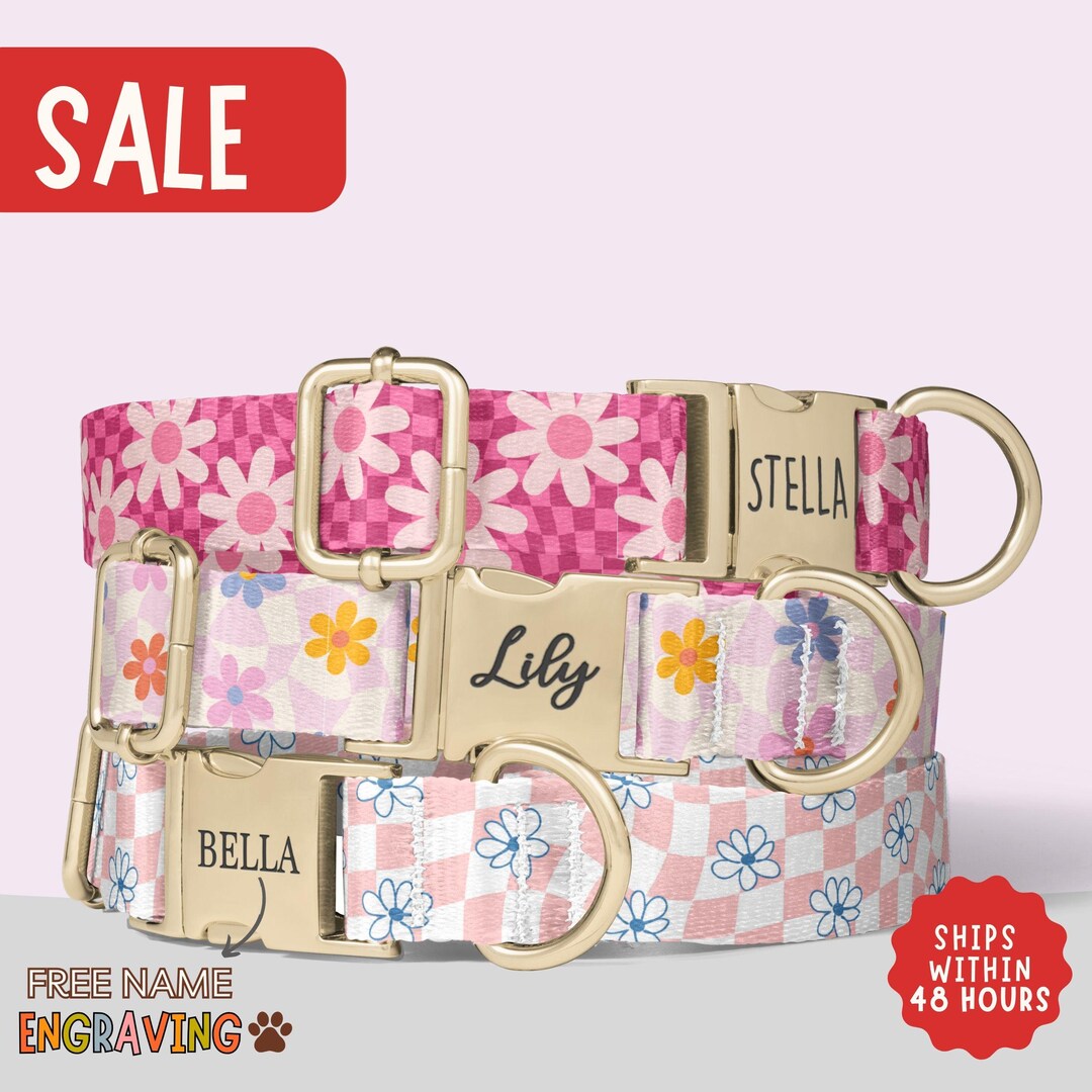 Daisy Dog Collar Floral Personalized Retro Groovy Dog Collar With Name ...