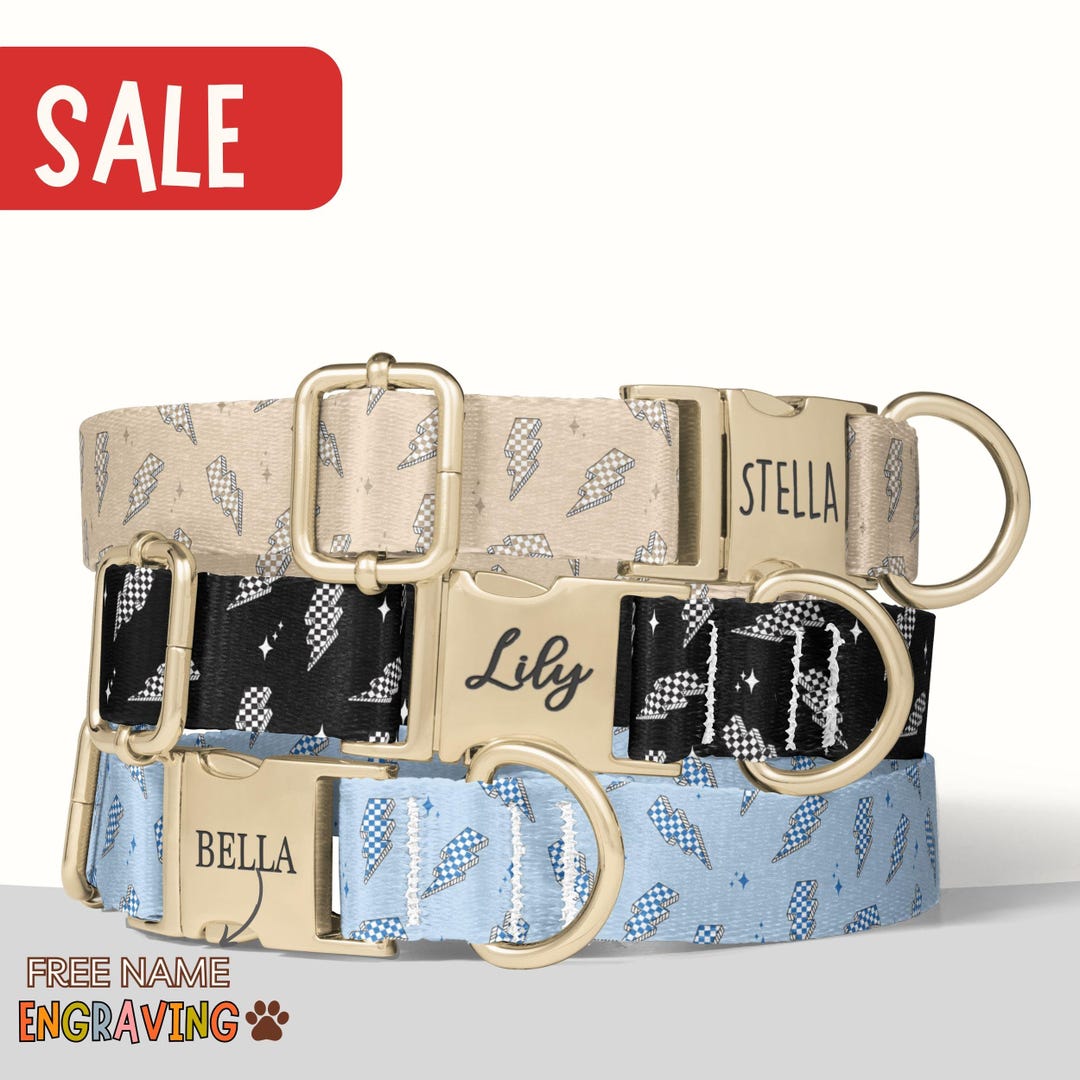 Lightning Bolt Dog Collar Custom Cool Kid Dog Collar Name Engraved ...