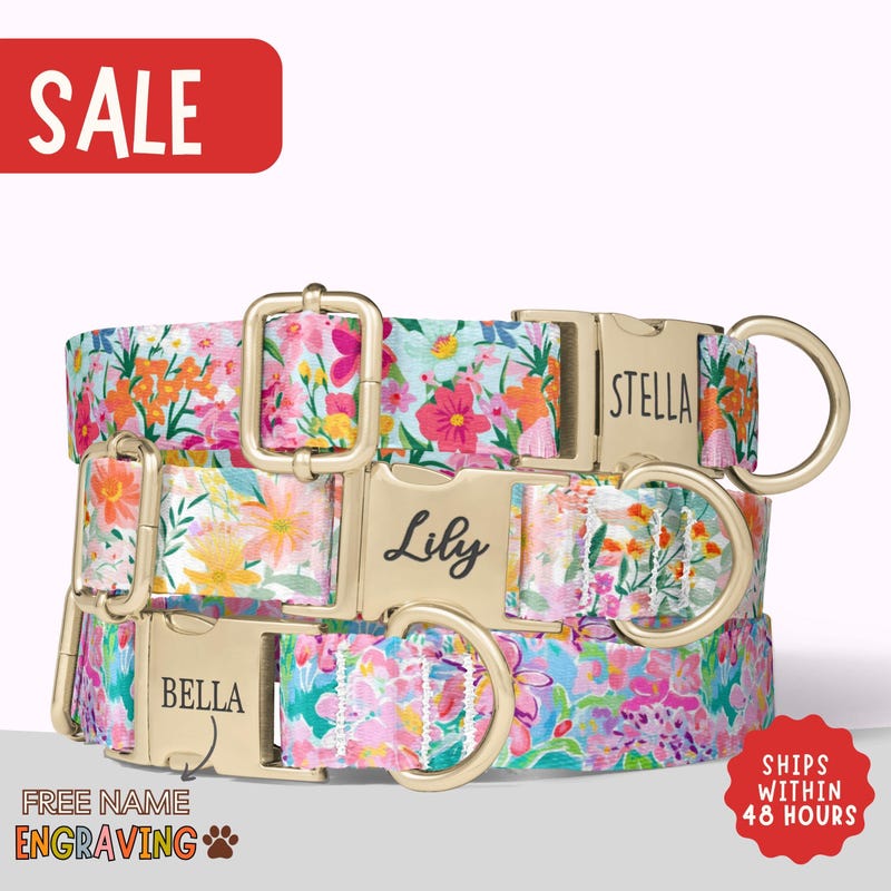 Custom Dog Collars - Etsy