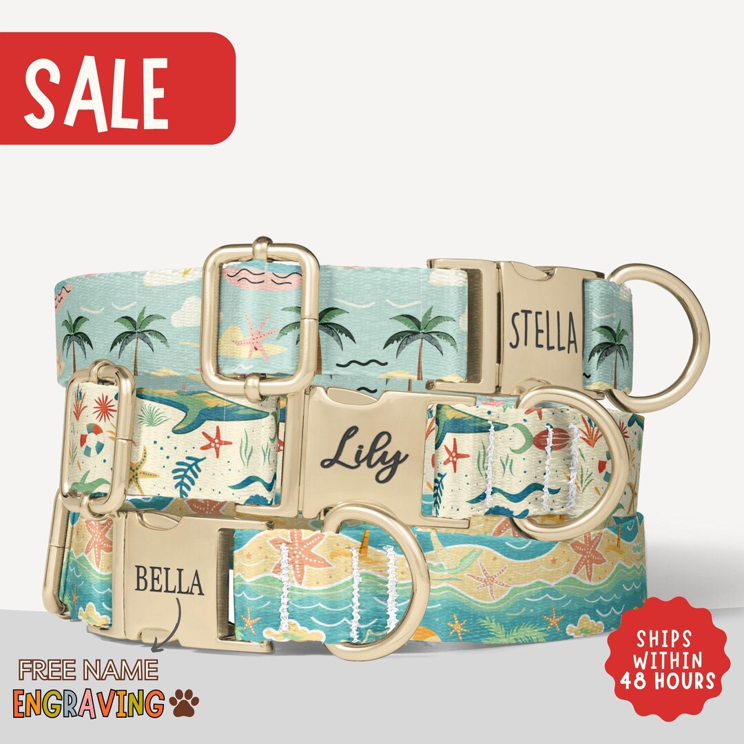 Nautical Dog Collars Beach Dog Collar Personalized Engraved Collars ...