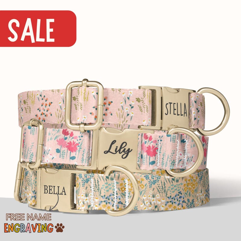 Spring Dog Collar - Etsy