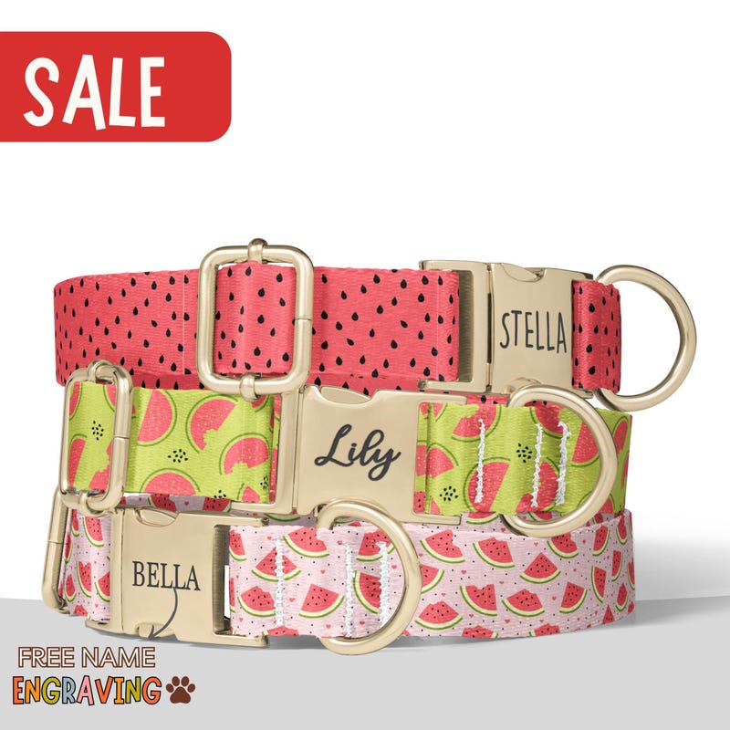 Fun Dog Collar - Etsy